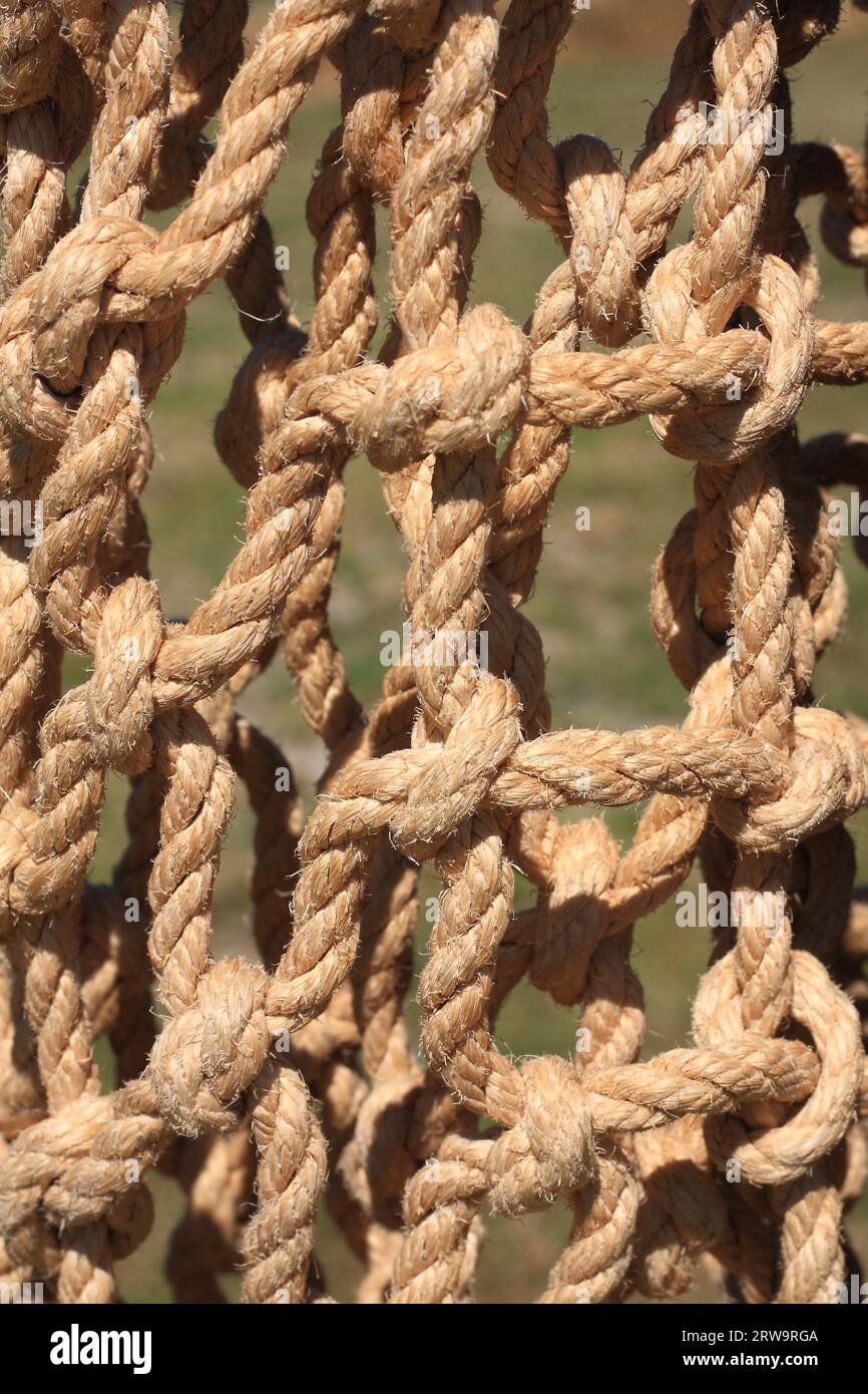 Woven net of thick ropes, full-frame shot, background nature Stock ...
