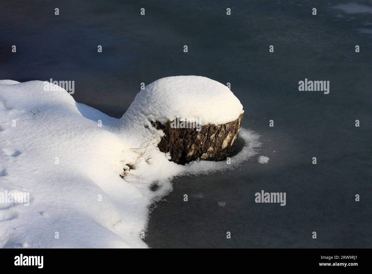 Snow-covered tree stump and part of the path in a pond covered with a ...