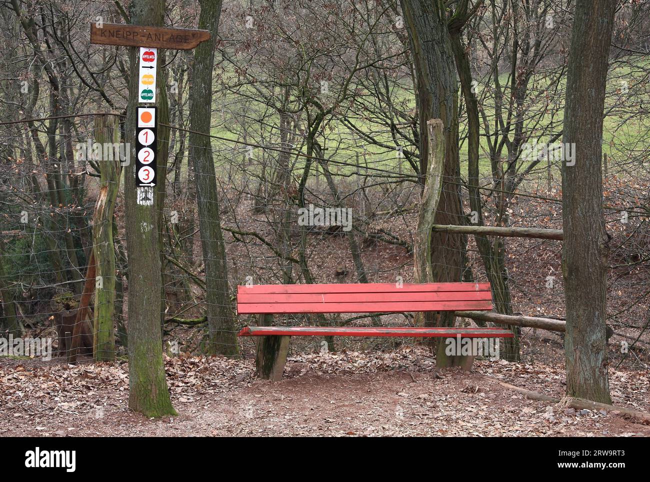 Red bench in the forest on a hiking trail, to the left of it signposts ...