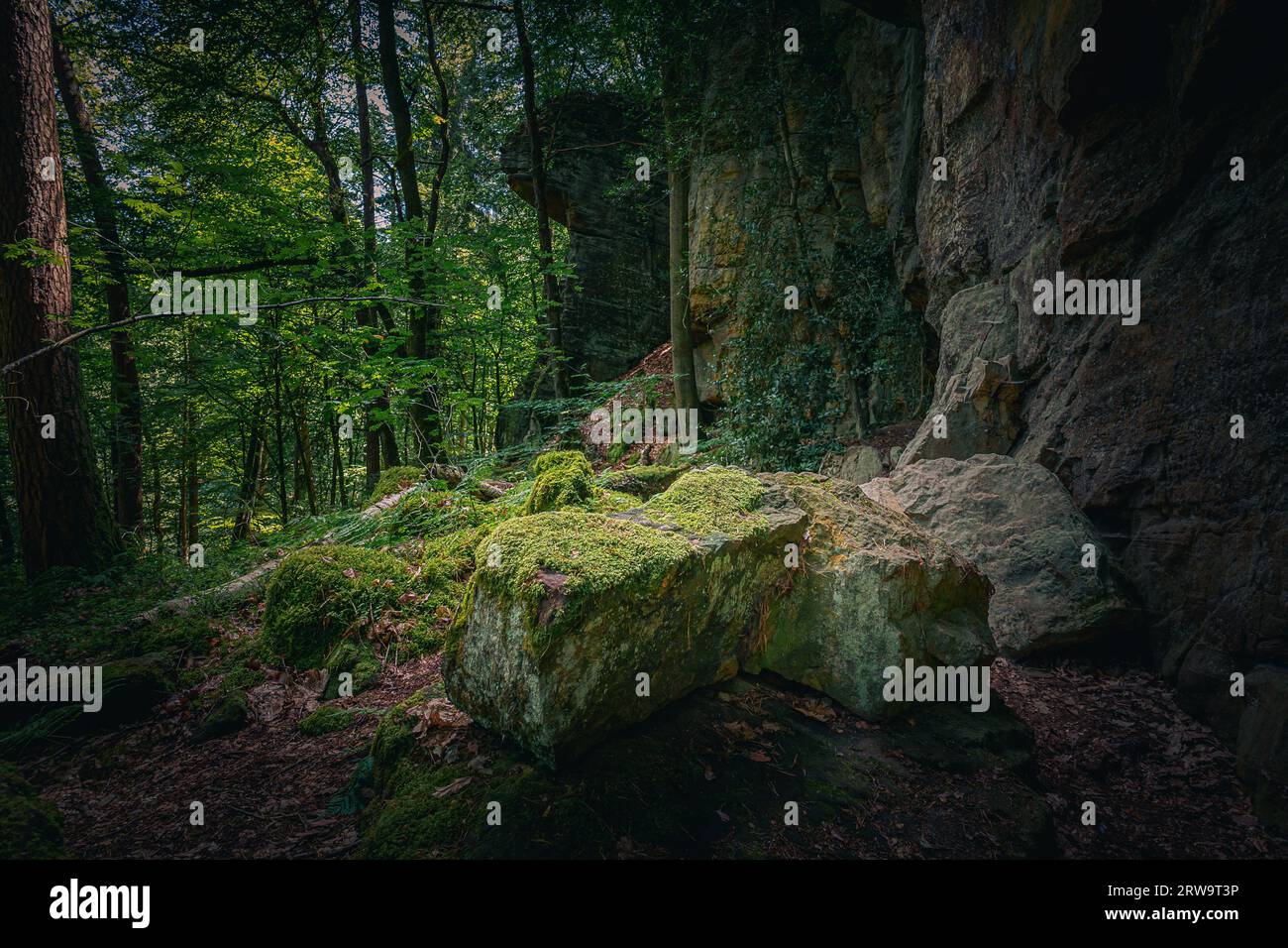 The beautiful nature in the Mullerthal region of Luxembourg, with the ...