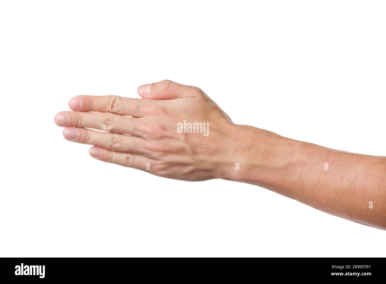Male hand gesture. Opposite side of palm isolated on white Stock Photo ...