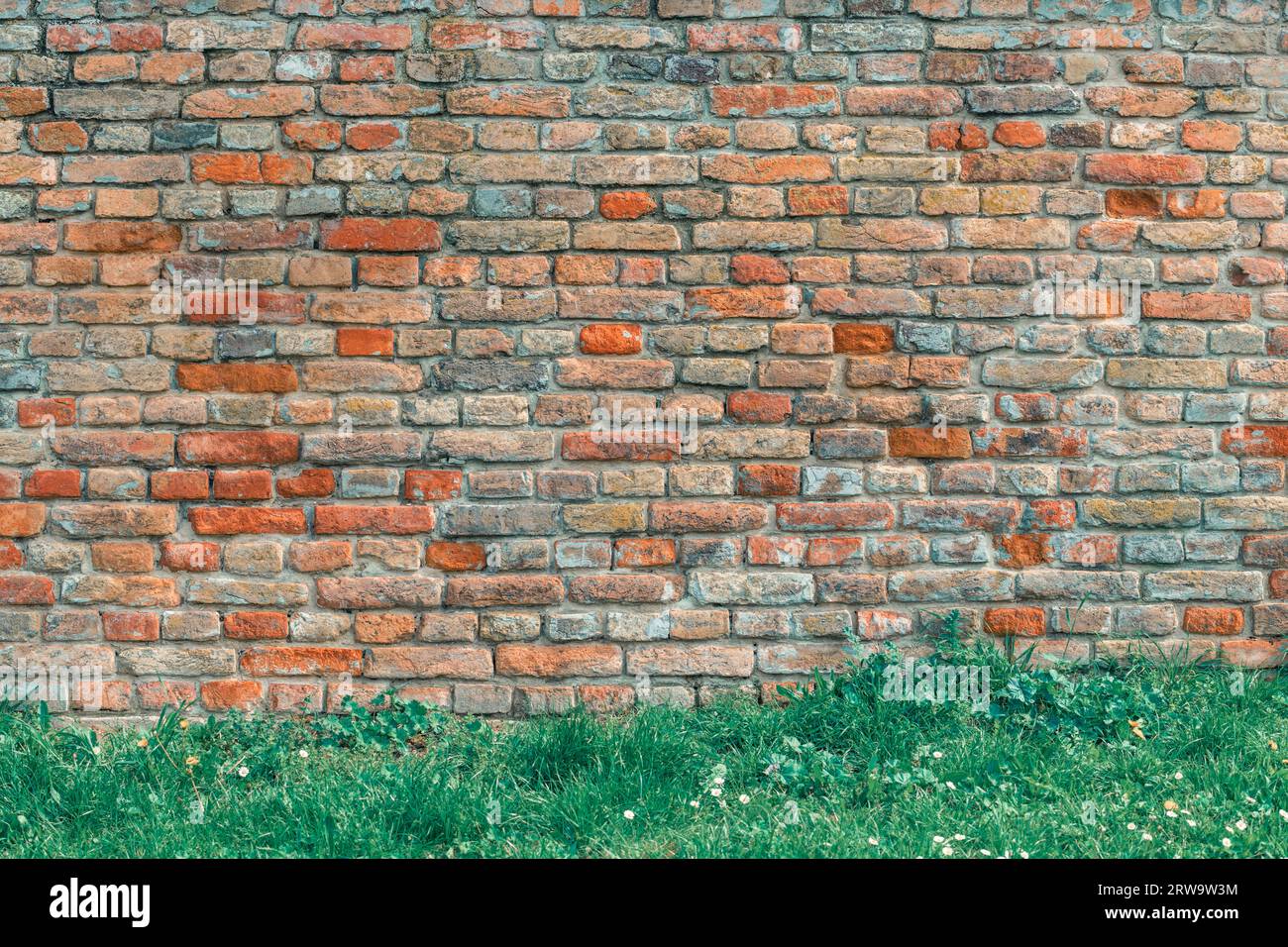 Rustic brick wall and grass as background, old building facade and lush ...