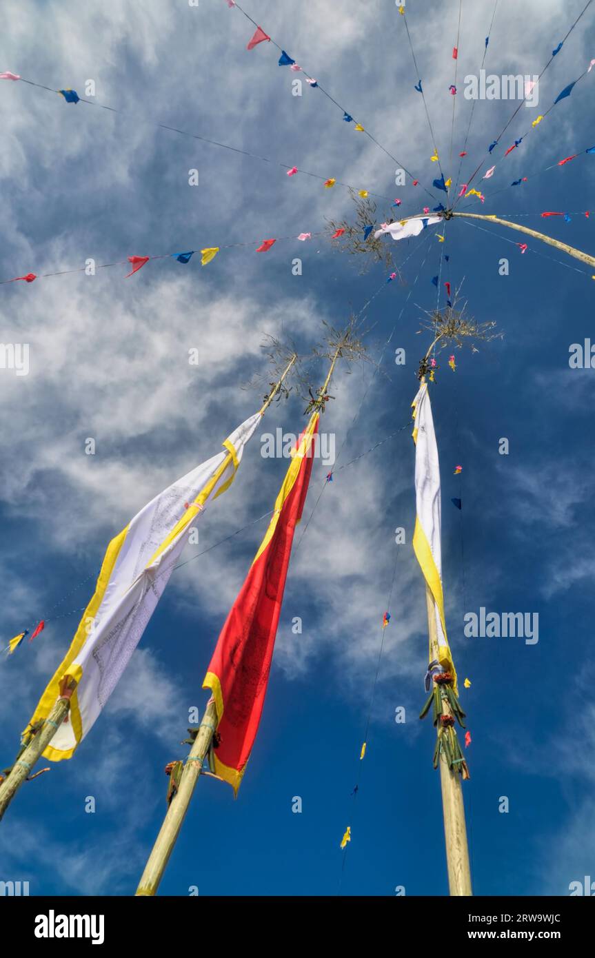 Colorful buddhist prayer flags and standards on poles in Pathivara Devi ...