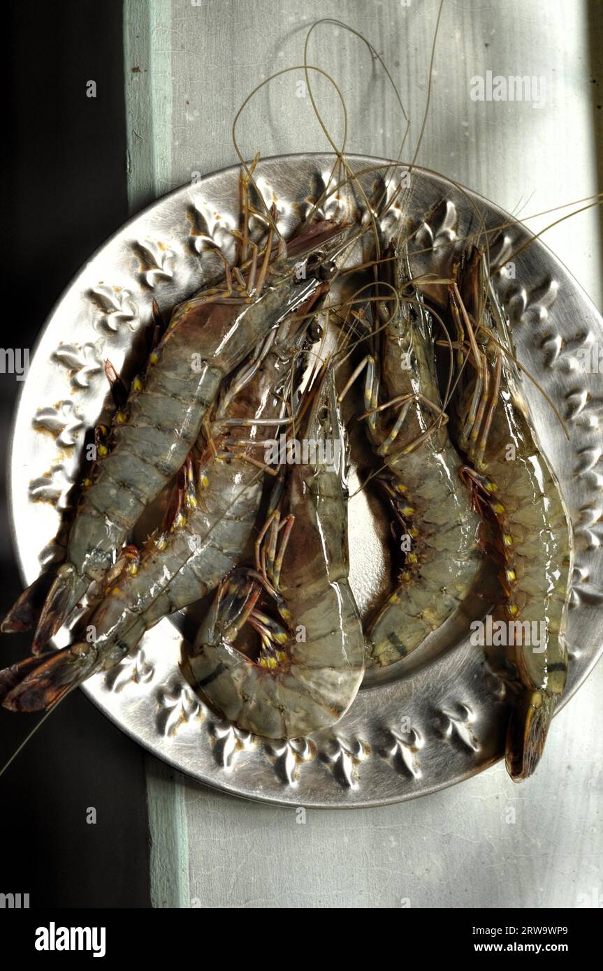 Full of bangladesh hi-res stock photography and images - Alamy