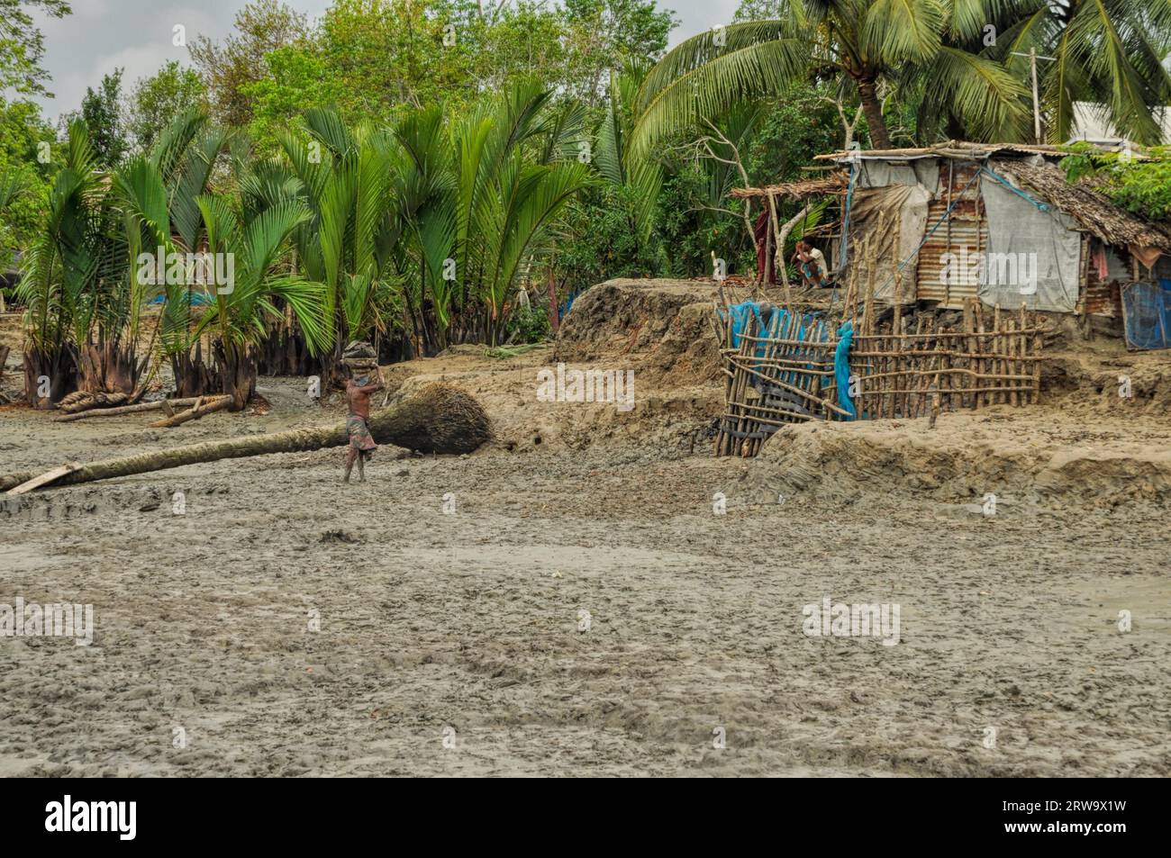 Scenic view of traditional village in Bangladesh Stock Photo - Alamy
