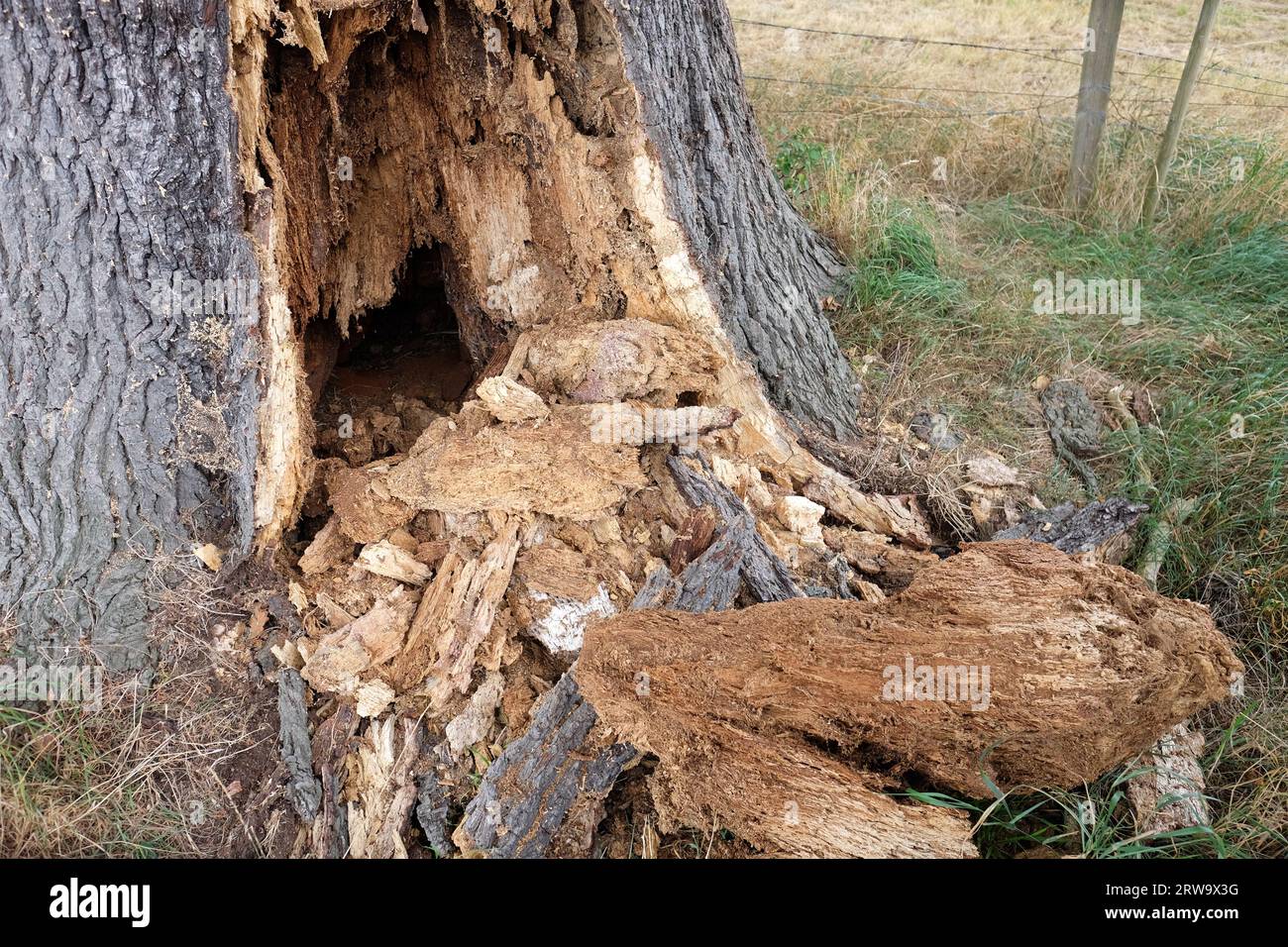Insides hi-res stock photography and images - Alamy