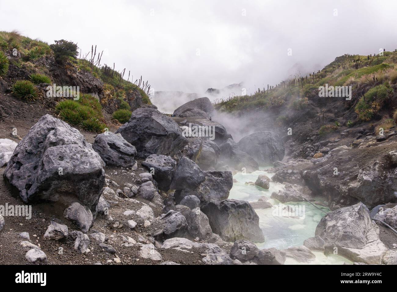 Thermal springs in Los Nevados National Park in the Cordillera Central ...