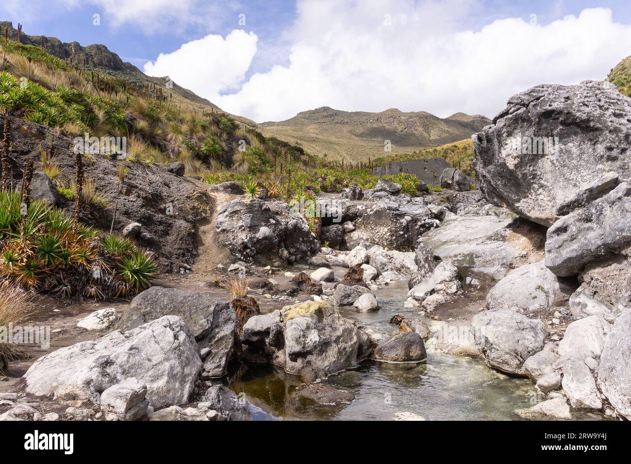 Thermal springs in Los Nevados National Park in the Cordillera Central ...