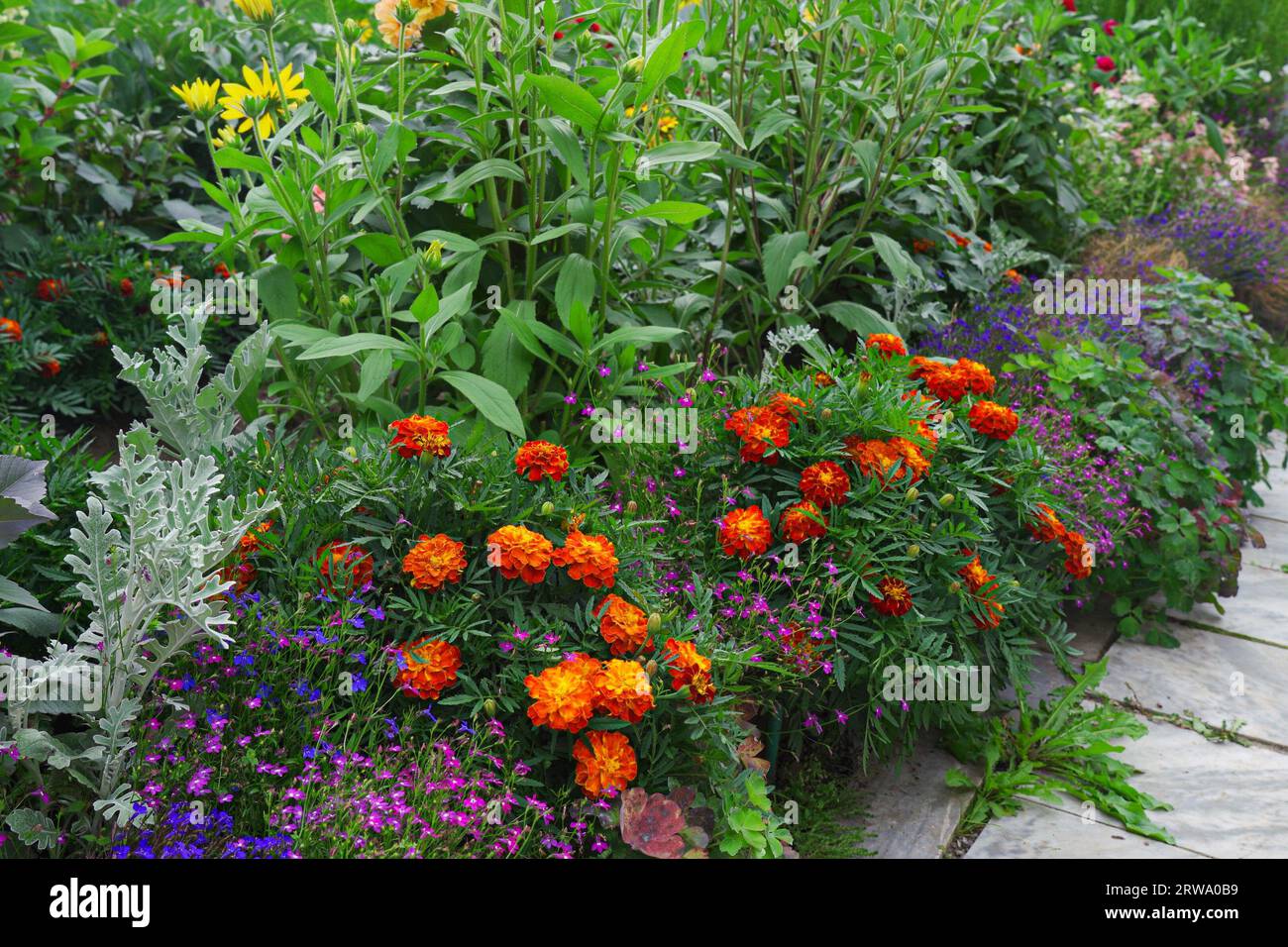 Mexican orange aztec gold hi-res stock photography and images - Alamy