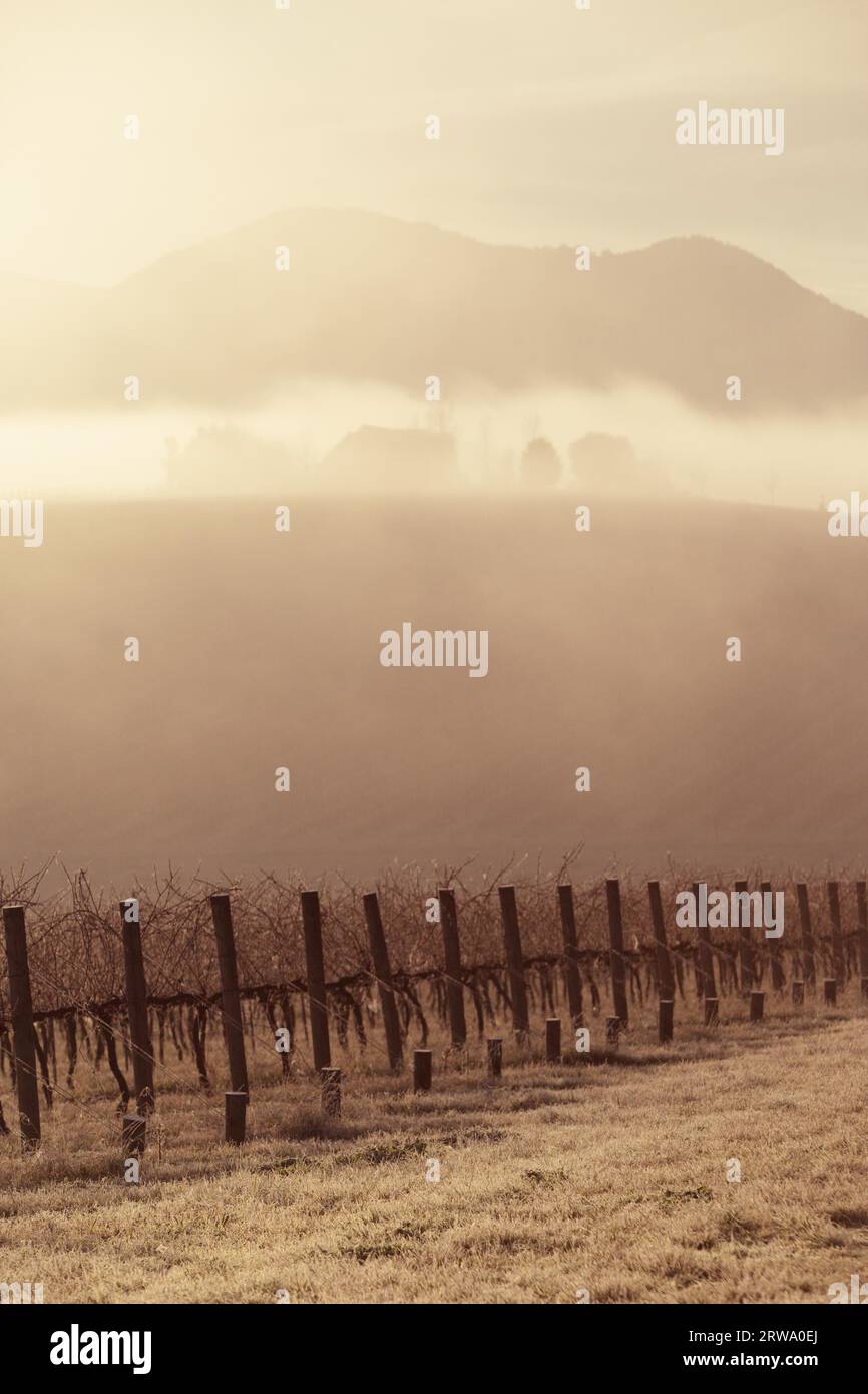 Victoria winters hi-res stock photography and images - Alamy