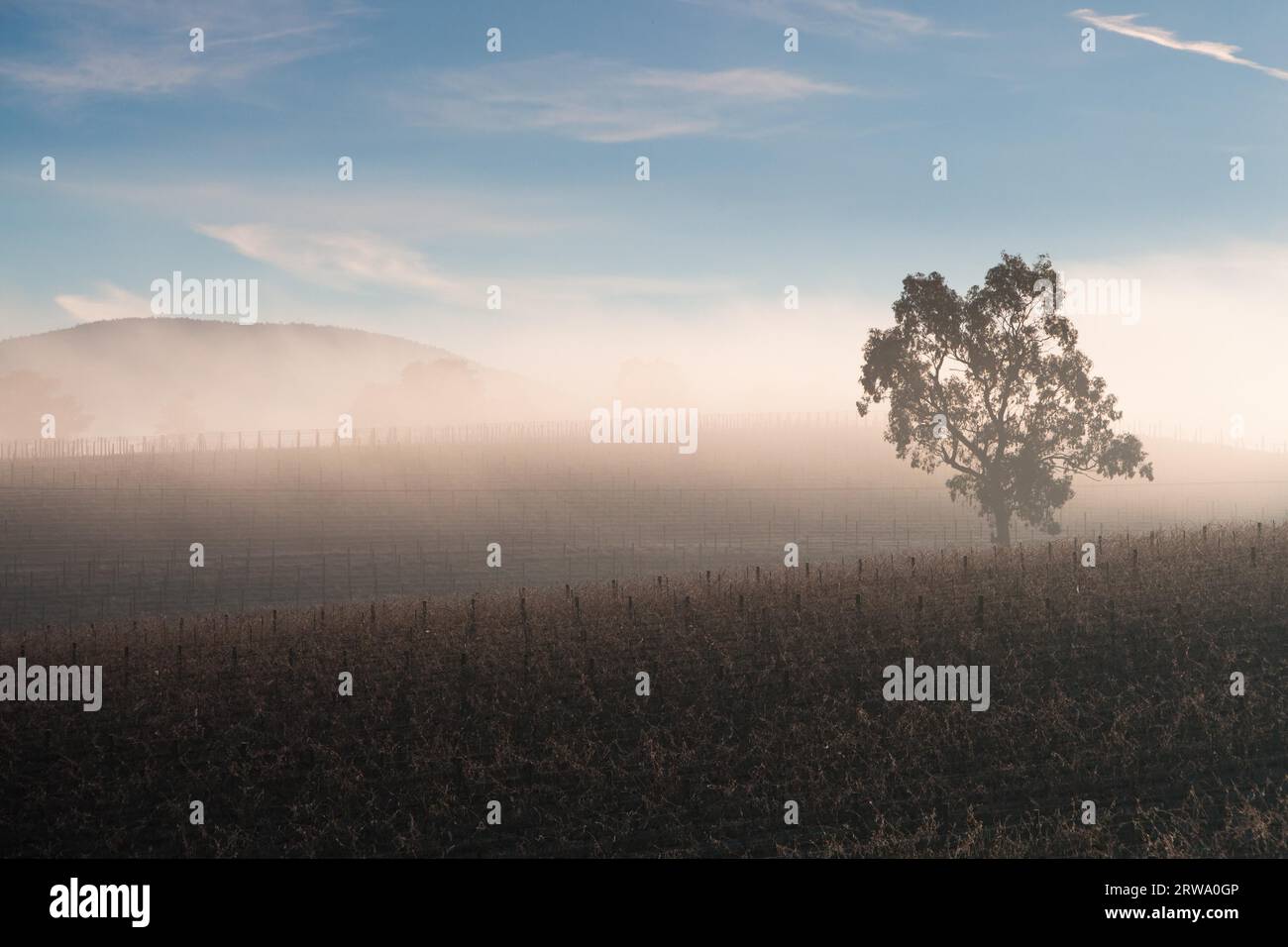 Victoria winters hi-res stock photography and images - Alamy