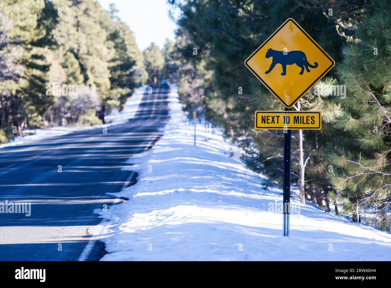 A snow leopard warning sign in the Grand Canyon, Arizona USA Stock ...