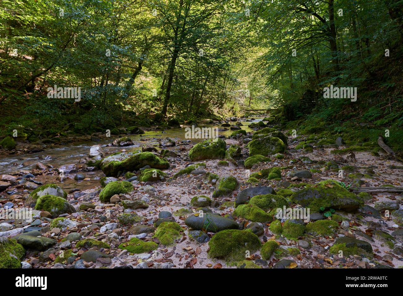Untouched paradise in Romanian mountains with river gorge and pristine ...