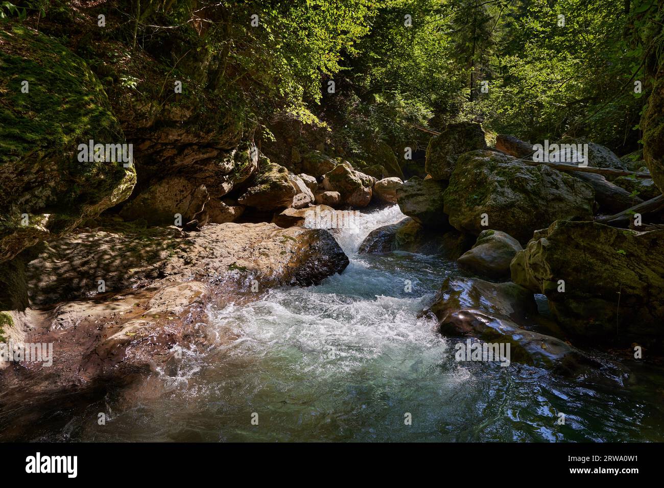 Untouched paradise in Romanian mountains with river gorge and pristine ...