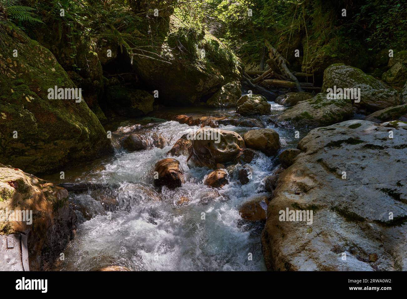 Untouched paradise in Romanian mountains with river gorge and pristine ...