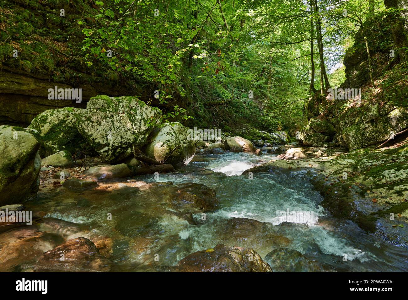 Untouched paradise in Romanian mountains with river gorge and pristine ...