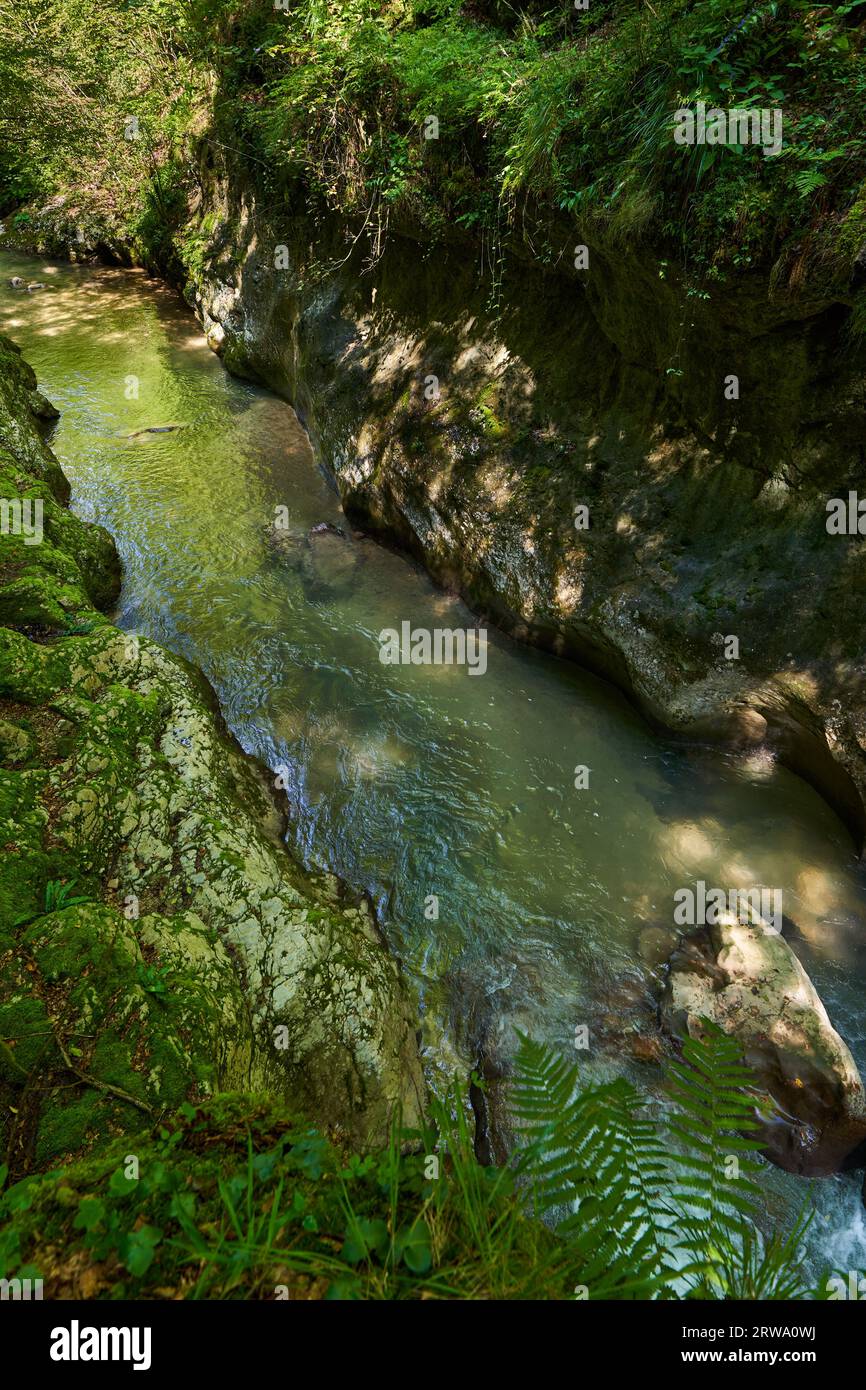 Untouched paradise in Romanian mountains with river gorge and pristine ...