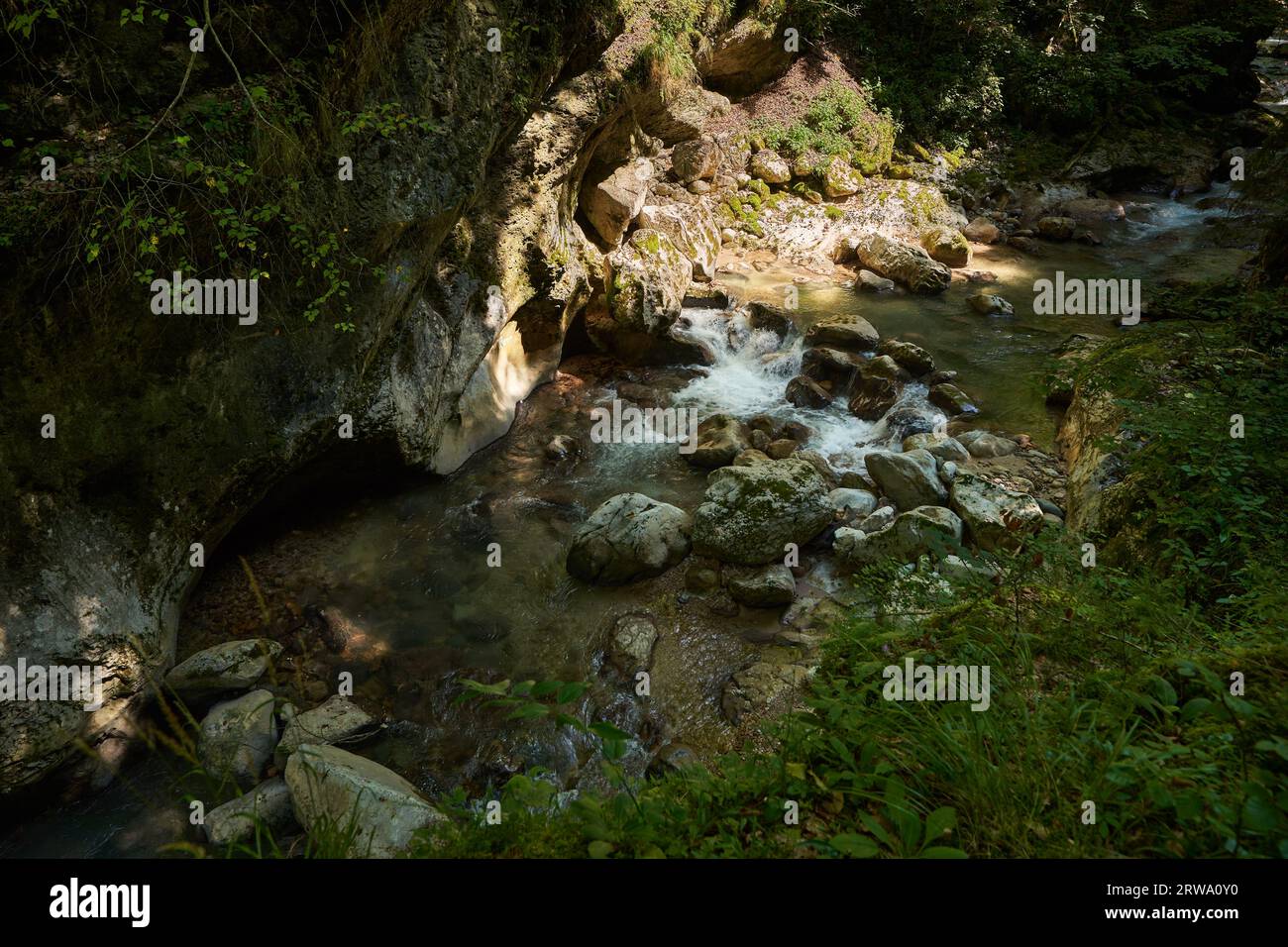 Untouched paradise in Romanian mountains with river gorge and pristine ...
