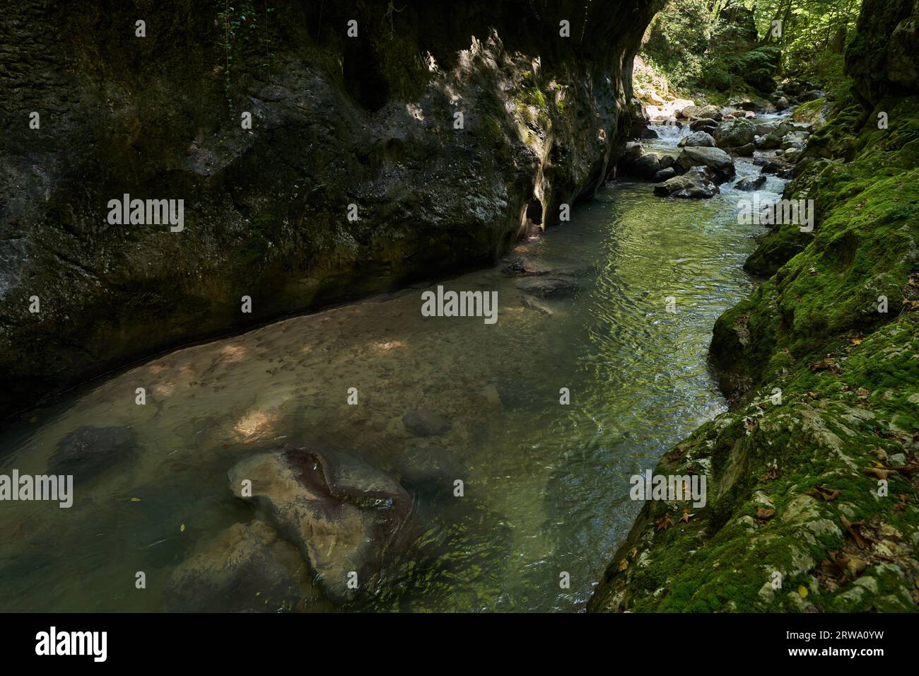 Untouched paradise in Romanian mountains with river gorge and pristine ...