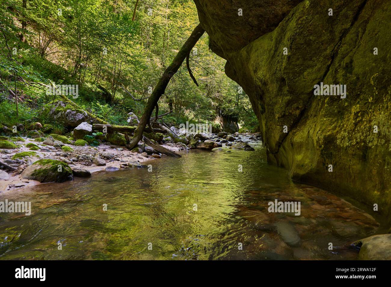Untouched paradise in Romanian mountains with river gorge and pristine ...