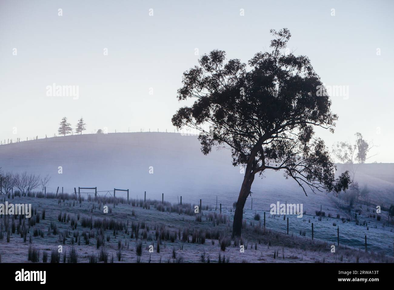 The sun rises on a cold winter's morning in the Yarra Valley, Victoria ...