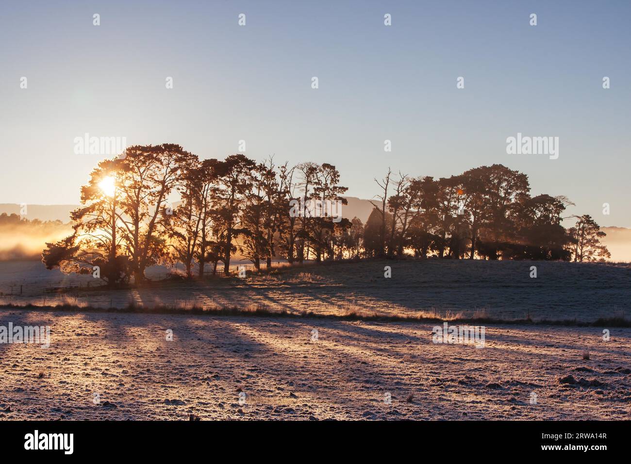 The sun rises on a cold winter's morning in the Yarra Valley, Victoria ...