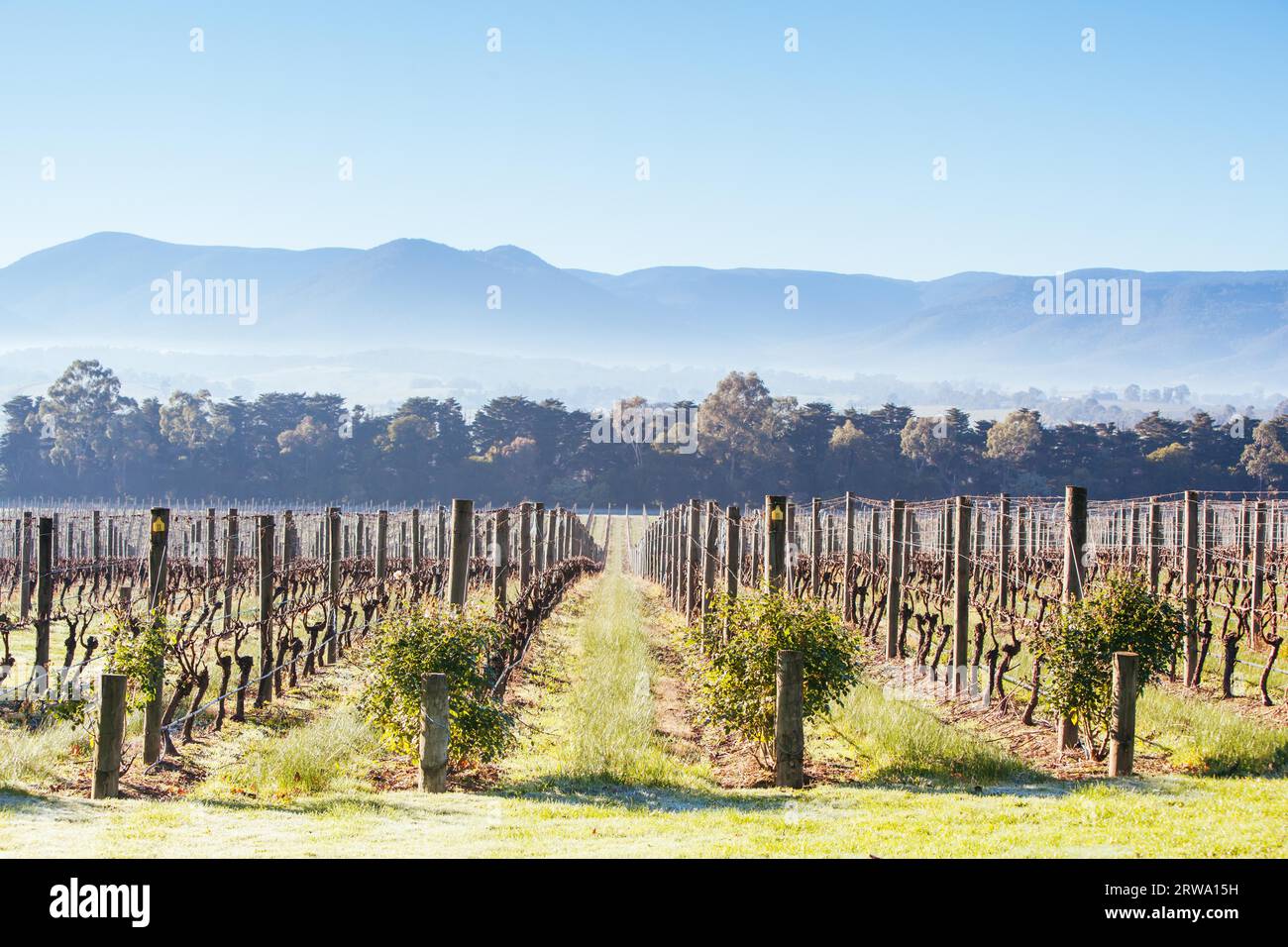 Victoria winters hi-res stock photography and images - Alamy