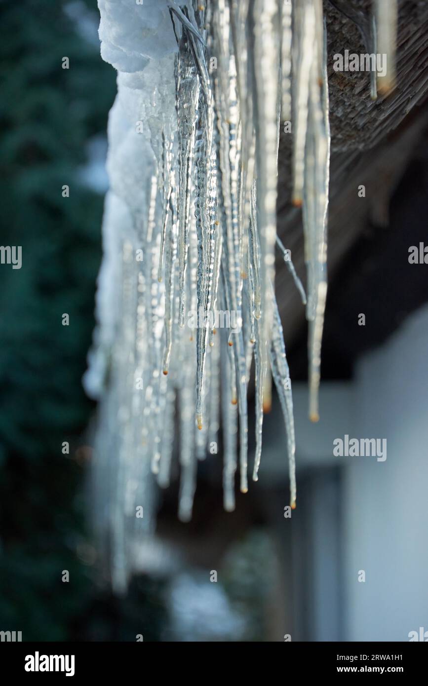 Icicle hanging down from snowy roof Stock Photo - Alamy