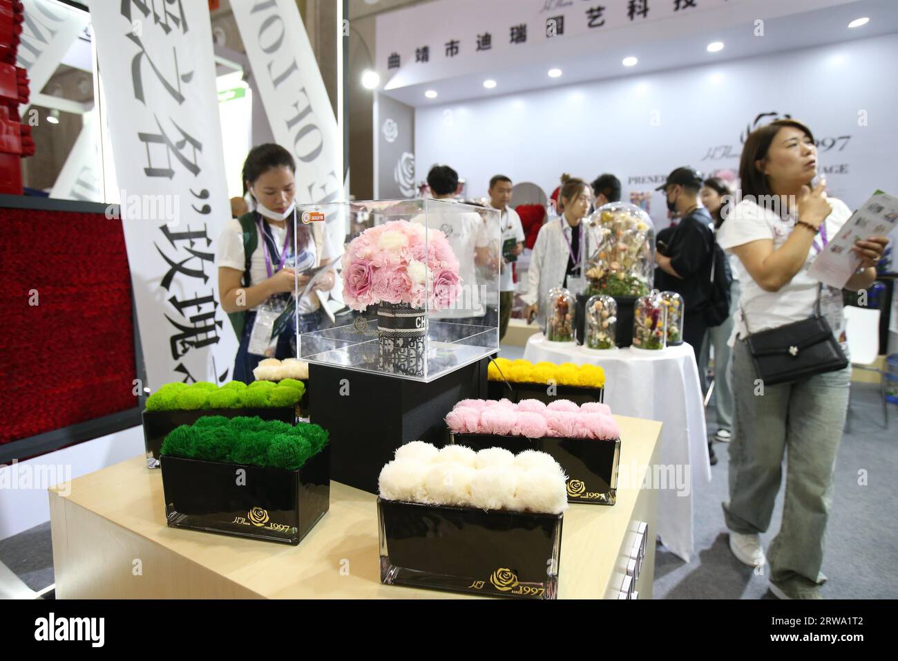 The 21st Kunming International Flower Exhibition opens in Kunming City ...