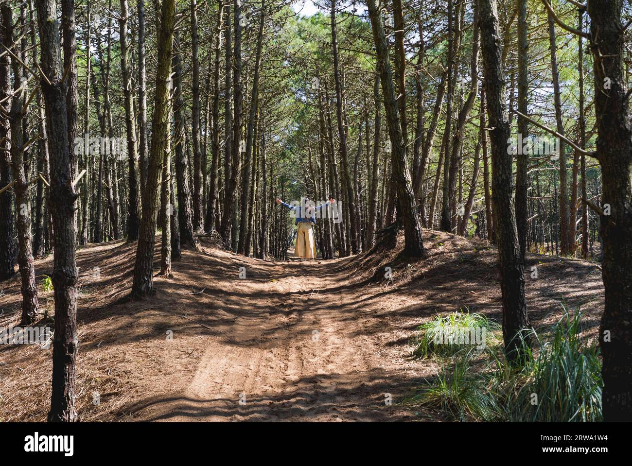 Freedom nature hi-res stock photography and images - Alamy