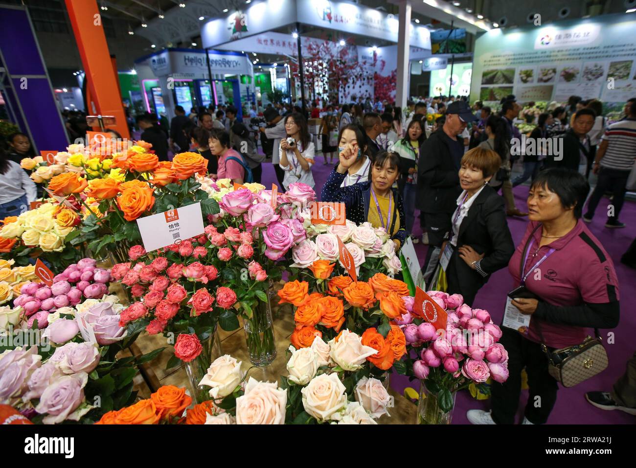 The 21st Kunming International Flower Exhibition opens in Kunming City ...