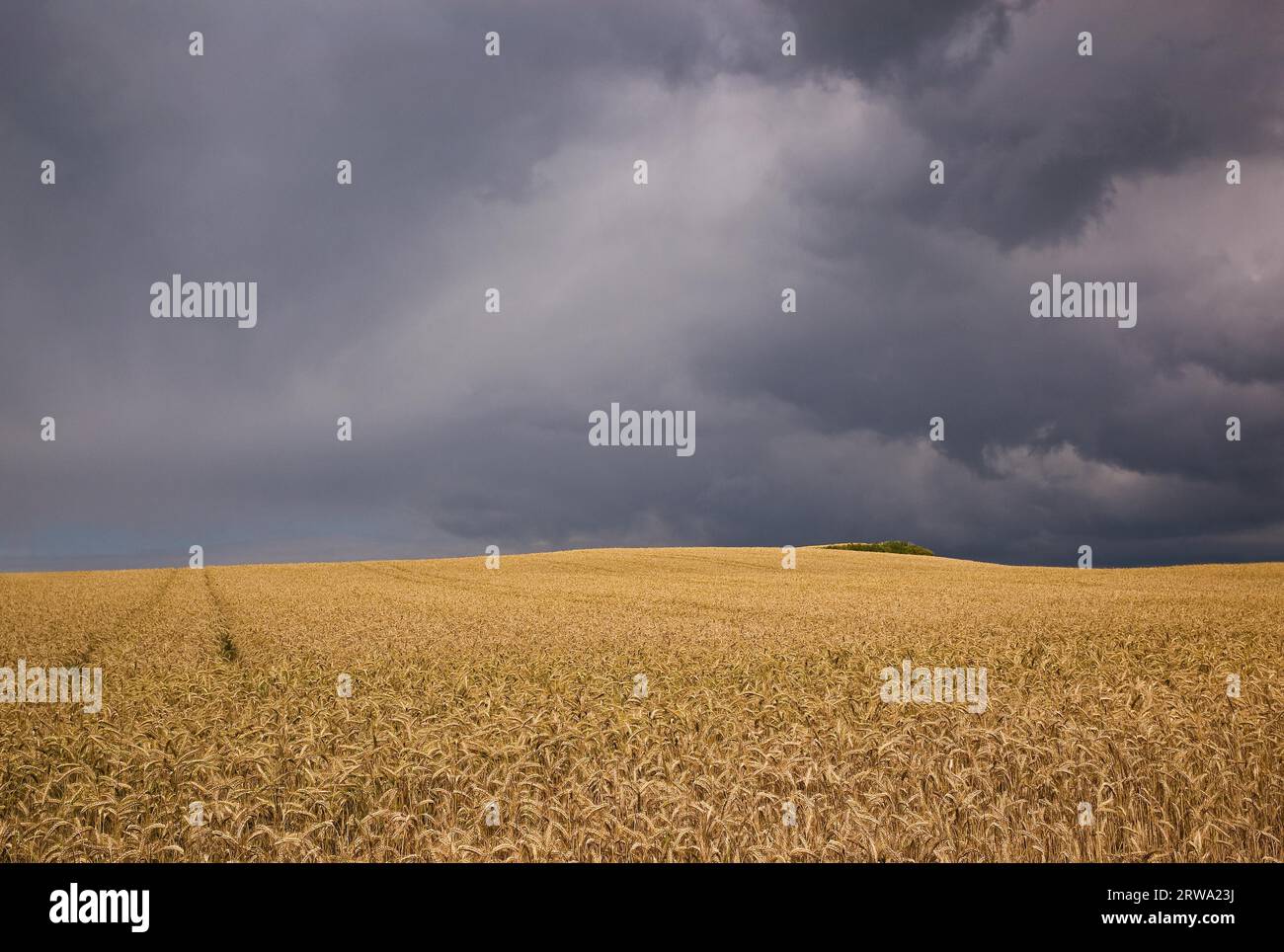 Fascination hi-res stock photography and images - Alamy