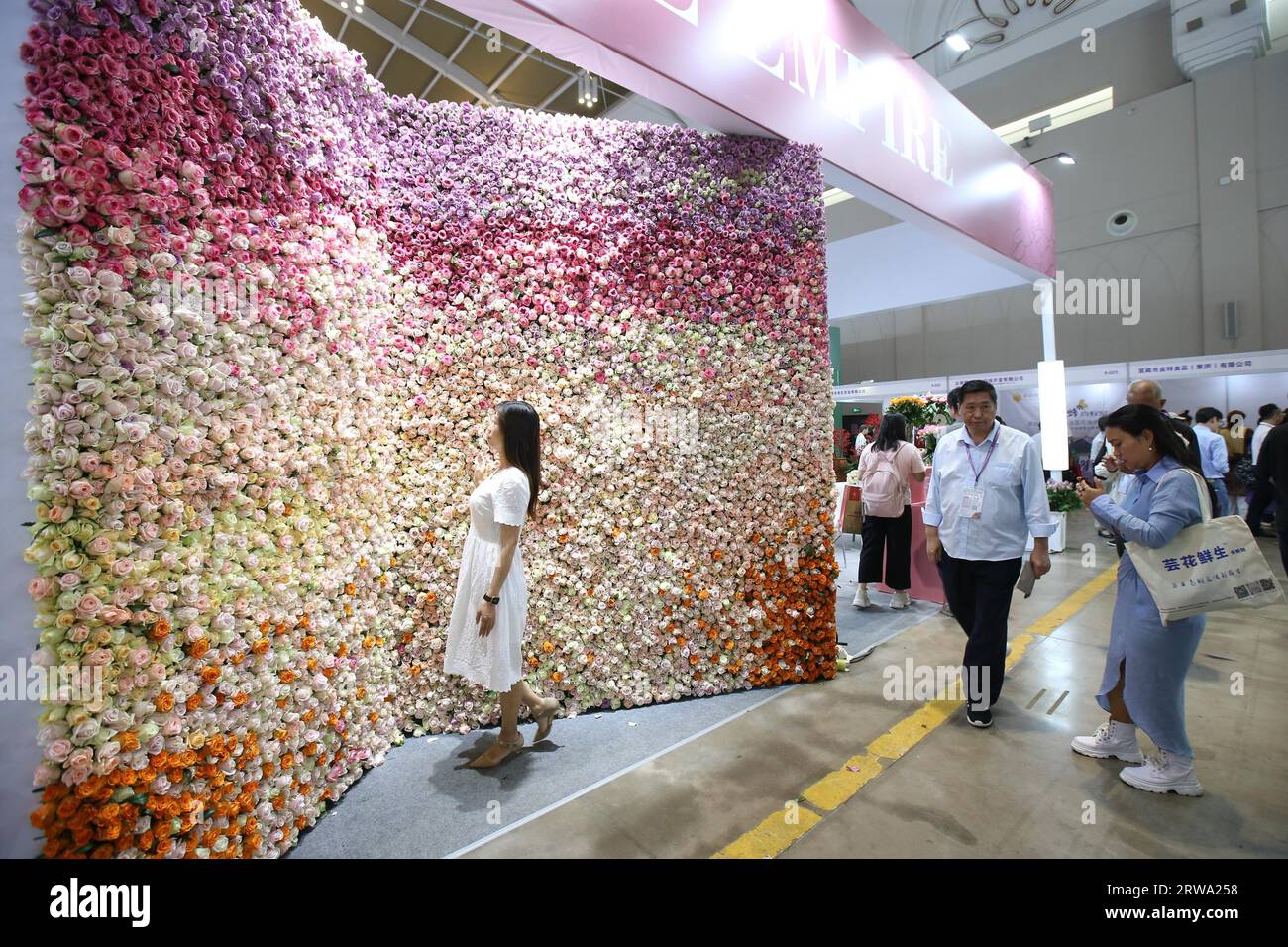 The 21st Kunming International Flower Exhibition opens in Kunming City ...
