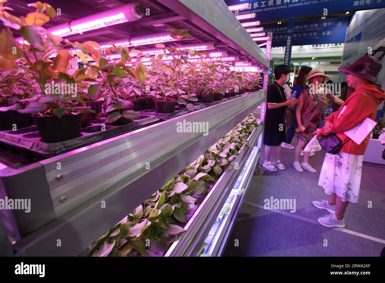 The 21st Kunming International Flower Exhibition opens in Kunming City ...