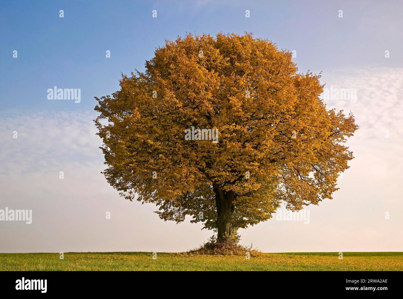 Frankenwald nature park hi-res stock photography and images - Alamy