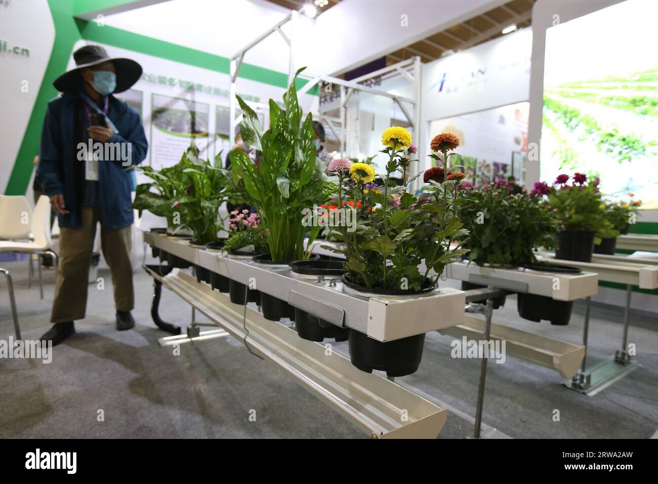 The 21st Kunming International Flower Exhibition opens in Kunming City ...