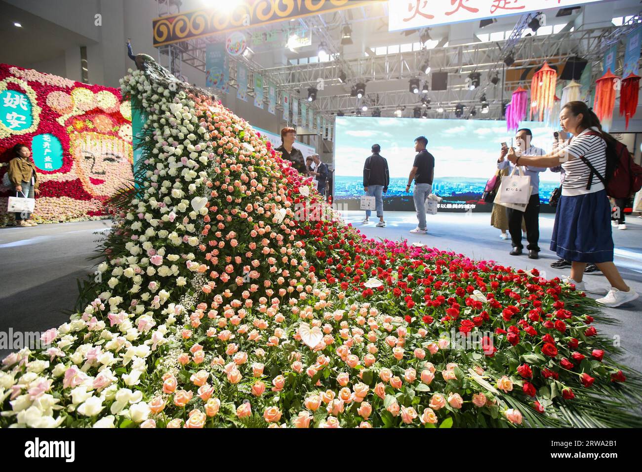 The 21st Kunming International Flower Exhibition opens in Kunming City ...