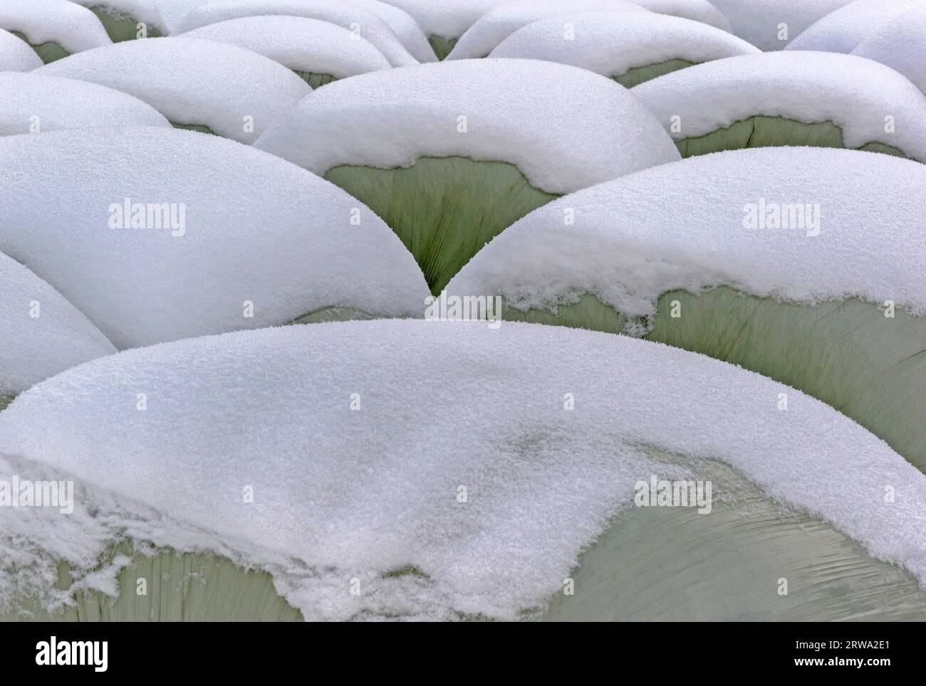 Bale bale hi-res stock photography and images - Alamy