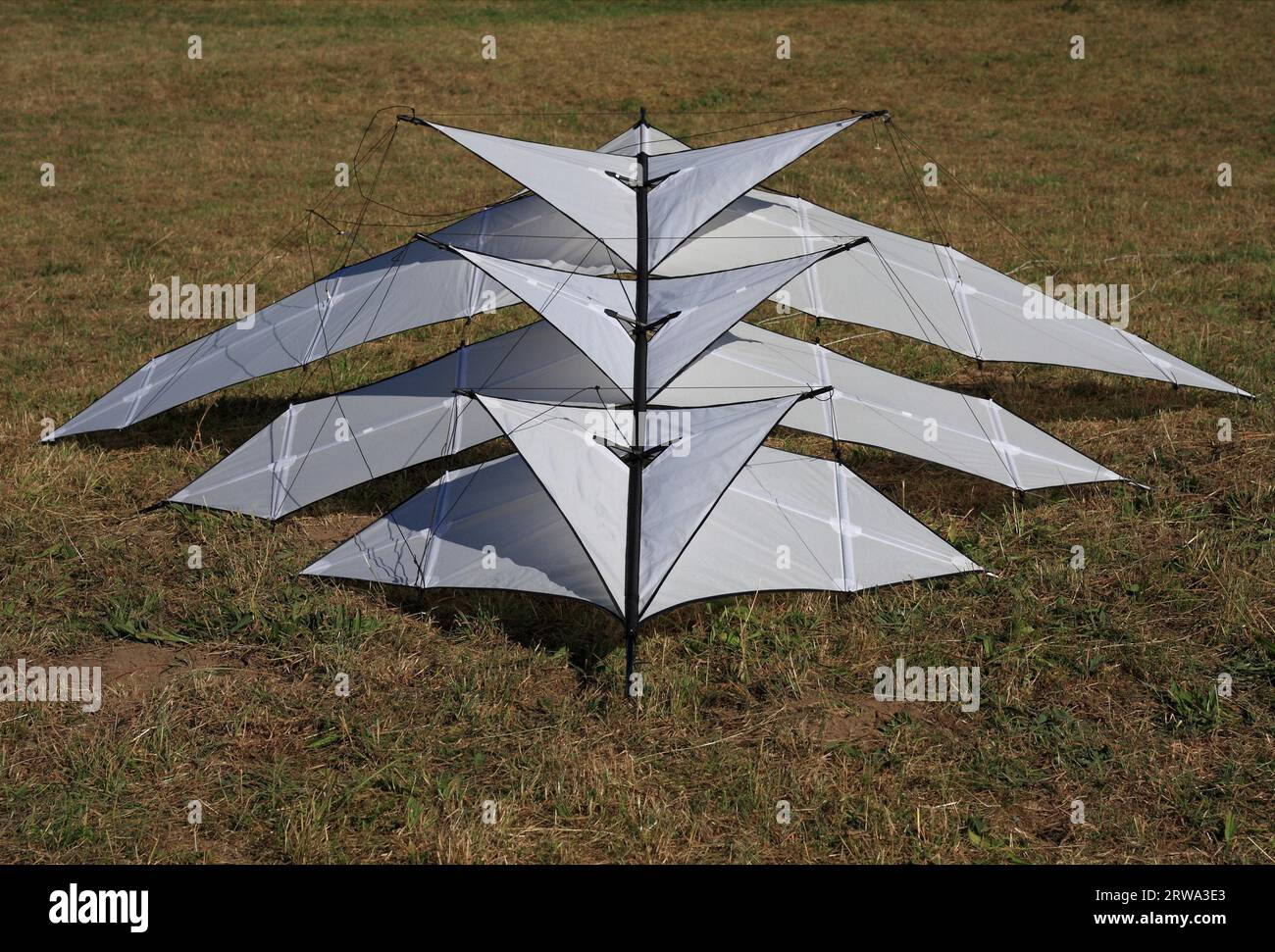 Kite field kids hi-res stock photography and images - Alamy