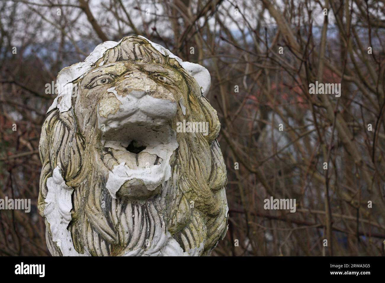 Old weathered lion sculpture, background trees Stock Photo - Alamy