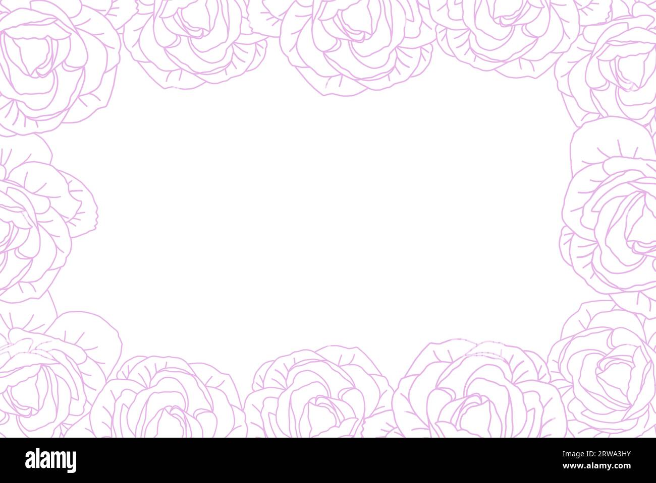 Luxury roses botanical frame on white background vector. Elegant line ...