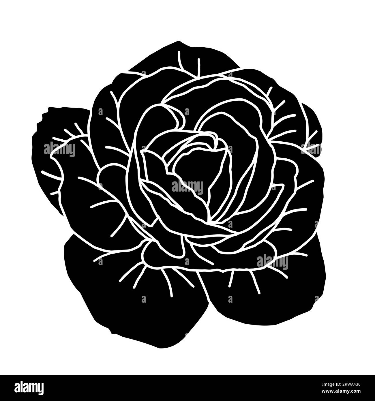 Hand drawn roses head silhouette for packaging, social media post ...