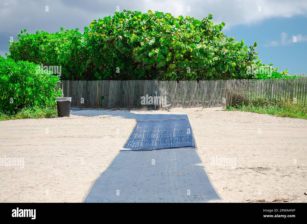View of Miami Beach sandy pathway with Palm trees as background in ...