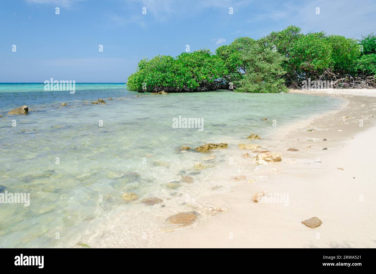 Amazing view of the Mangel Halto beach in Aruba, a caribbean paradise ...