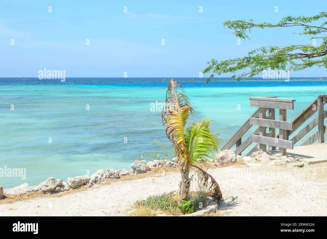 Amazing view of the Mangel Halto beach in Aruba, a caribbean paradise ...