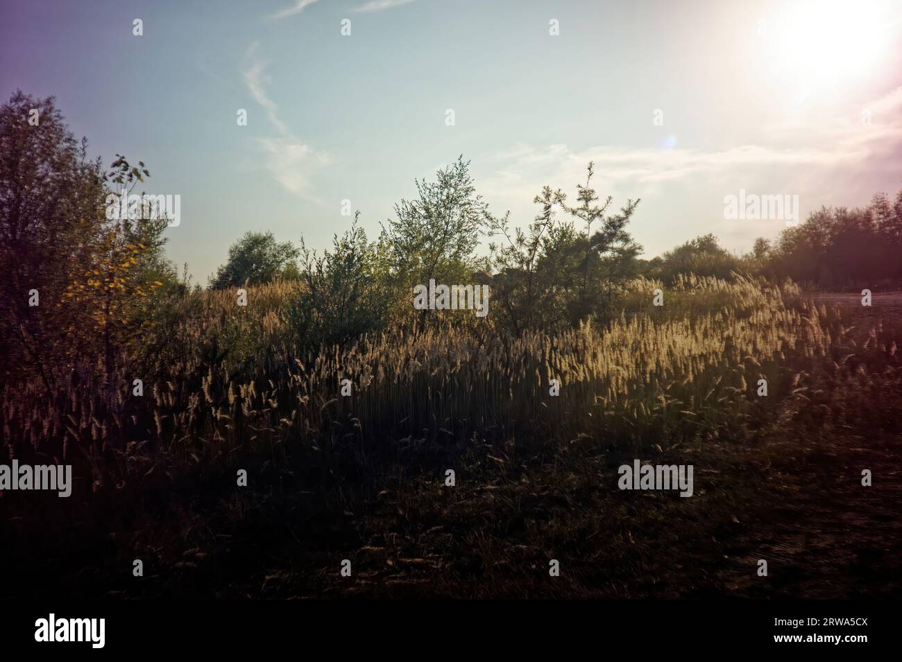 Beautiful early evening view hi-res stock photography and images - Alamy