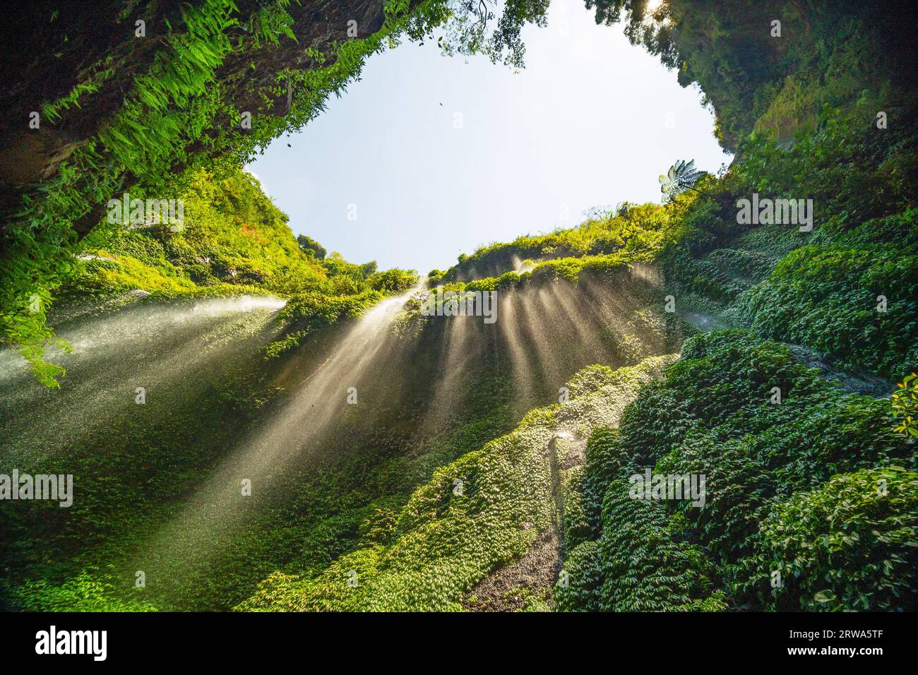 Beautiful waterfalls in sunny day,Bottom view Madakaripura Waterfall is ...