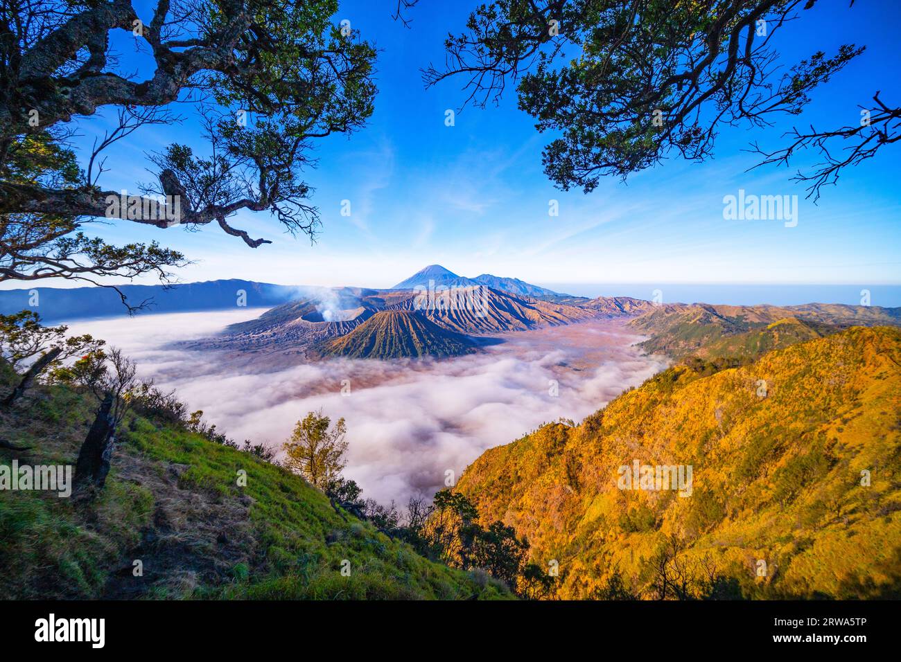 Beautiful landscape scenery of Mount Bromo National Park from the top ...