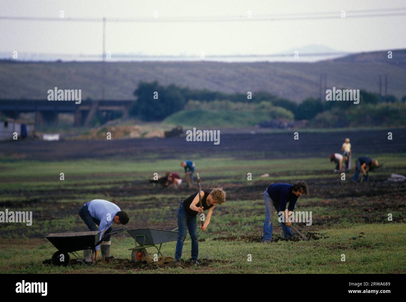 Shirebrook colliery hi-res stock photography and images - Alamy
