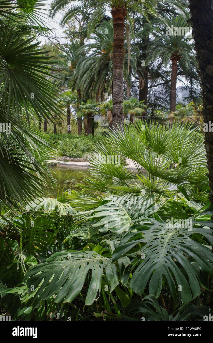 Mallorca, Spain - 23 July, 2023: Tropical plants and flowers in the ...